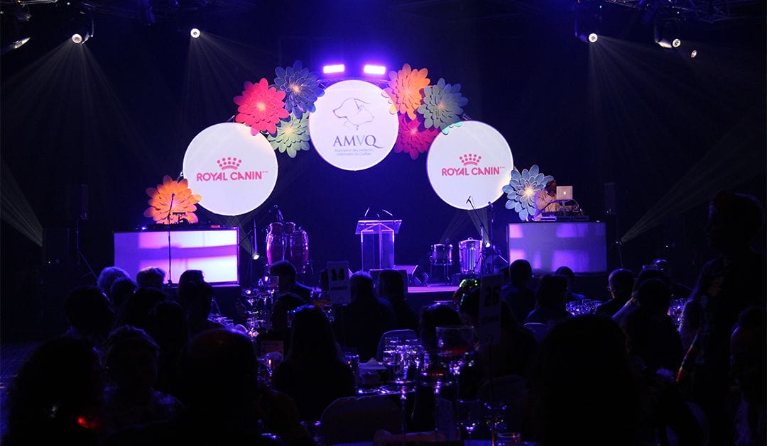 AMVQ Gala | Creativ Nation
